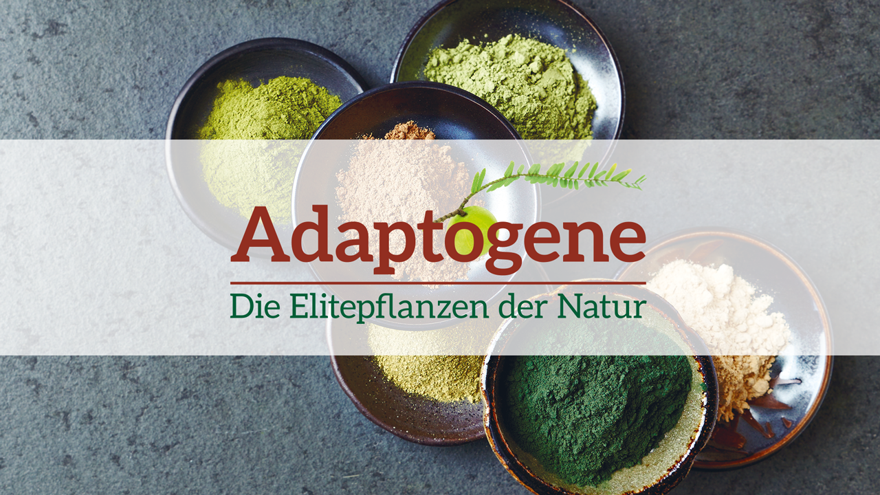 Adaptogene – Anwendungen der Heilpflanzen | Adaptogene.de